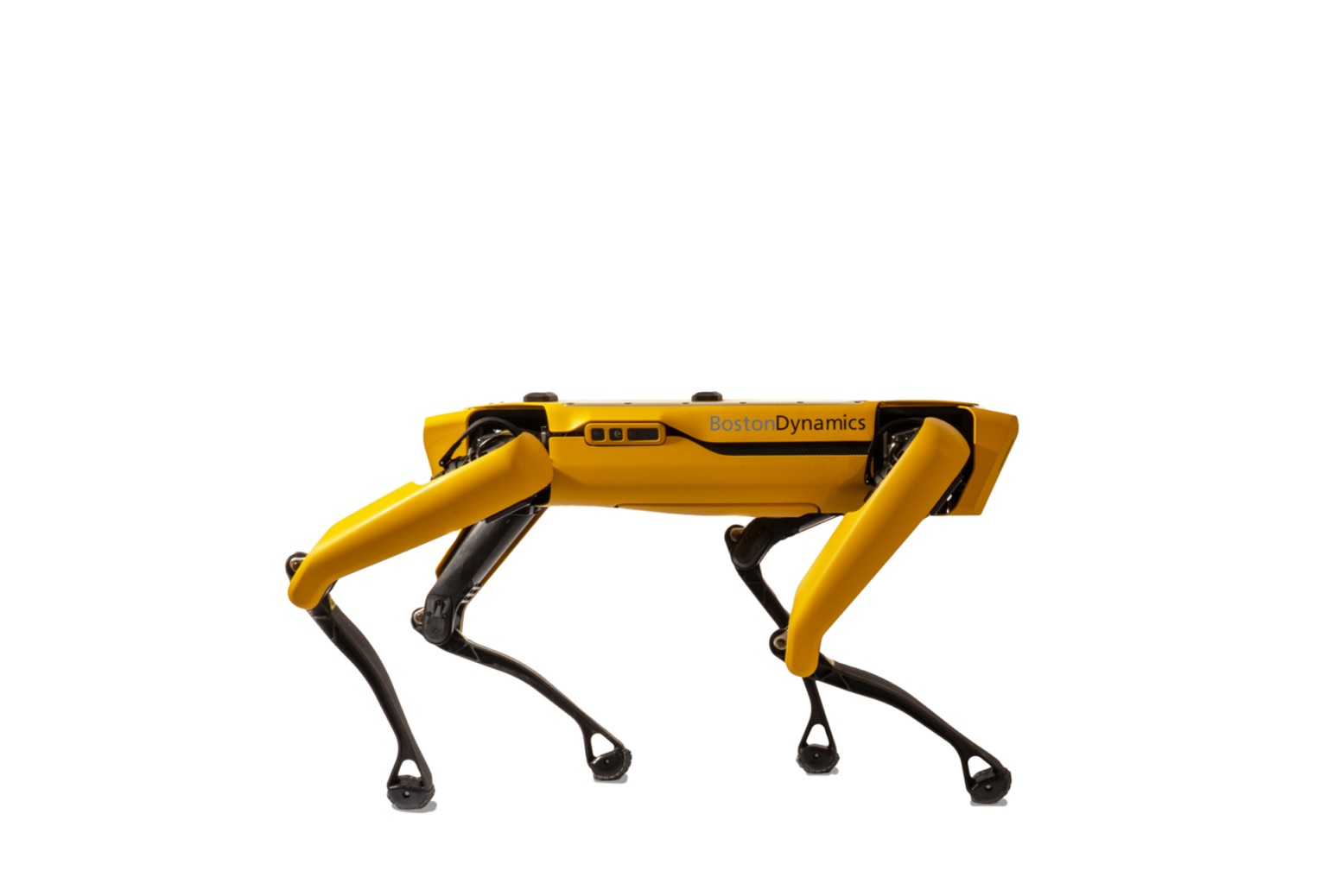 Humanoid vs Android – What’s the Difference - Robots Of London | Robot ...