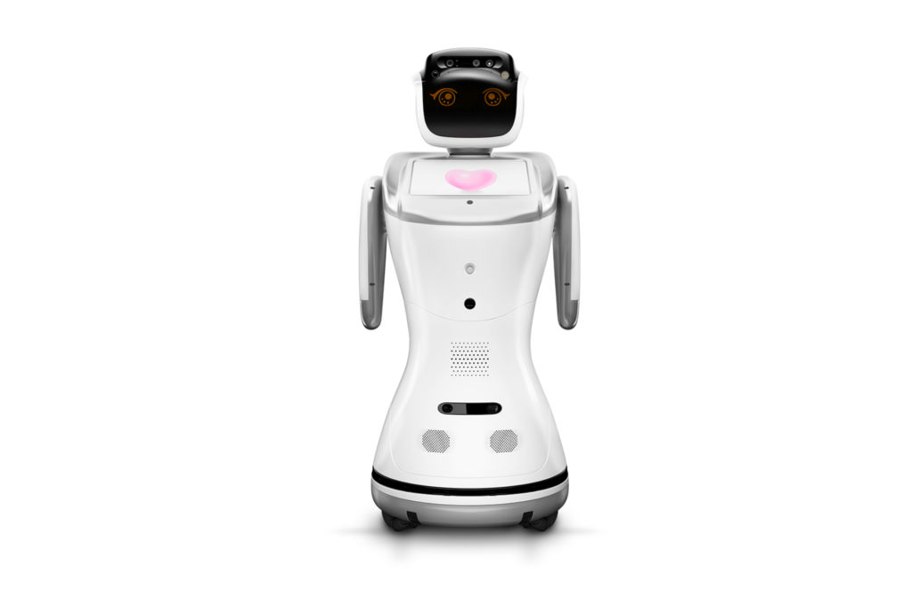What is a Humanoid Robot? A Complete Beginner’s Guide - Robots Of ...